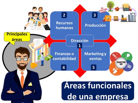 Qué son las áreas funcionales de la empresa Principales tipos
