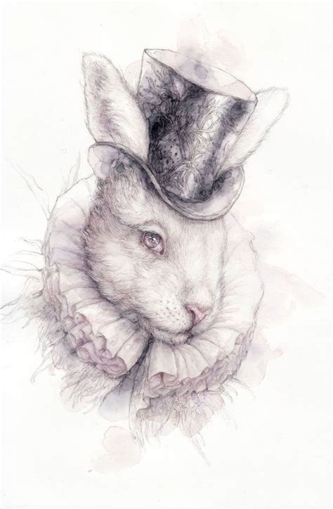 Pin by Modorova Svetlana on Зайки Animal illustration art Character