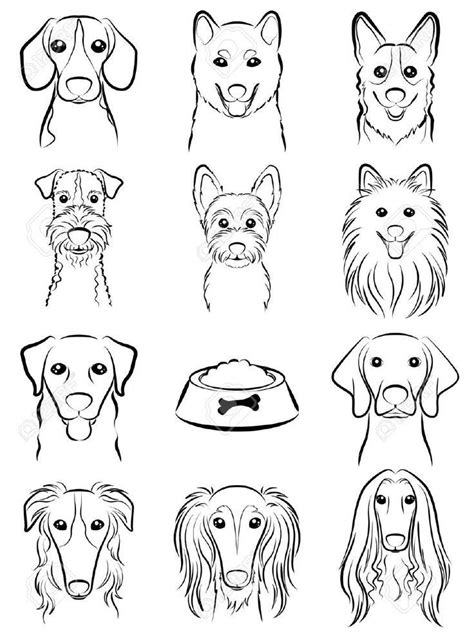 Hunde Nese Tegning Tegninger Dyr