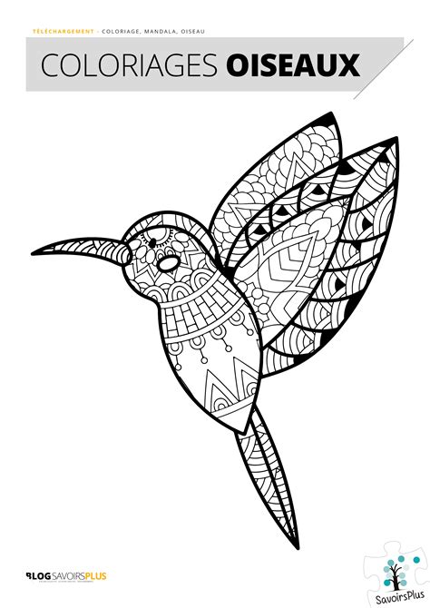 Téléchargement Coloriages mandalas oiseaux Le blog SavoirsPlus