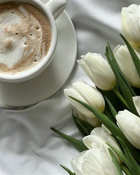 White Tulips