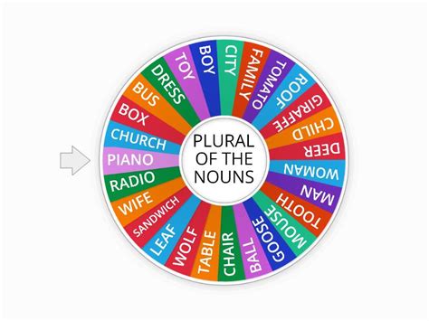 Plural Of The Nouns Spin The Wheel