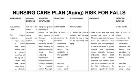 Nanda Nursing 18 Examples Of Nursing Care Plans