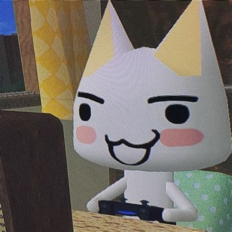 Toro From Doko Demo Issyo Silly Cats Cute Cats Chat 3d Toro Inoue
