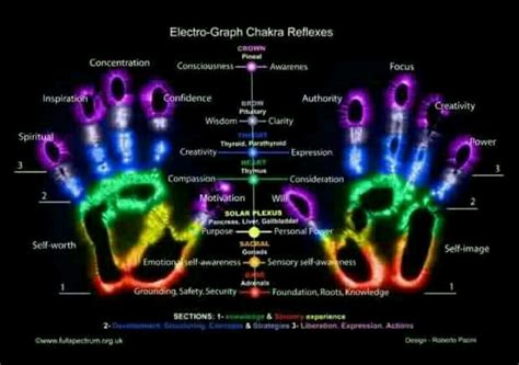 Chakra Hand Chart Symboles Reiki Reflexologie Image Emotion