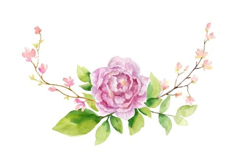 Acuarela Vector Mano Pintura Ilustraci N De Flores De Peon A Y Hojas
