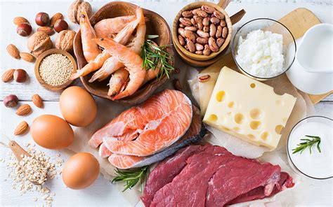 Régime protéiné Programme alimentaire pour perte de poids