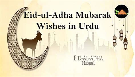 Eid Ul Adha Mubarak Wishes In Urdu Eid Status Showbiz Hut