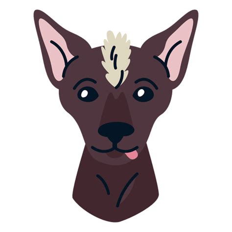 Xoloitzcuintle Illustration AD Paid Affiliate Illustration