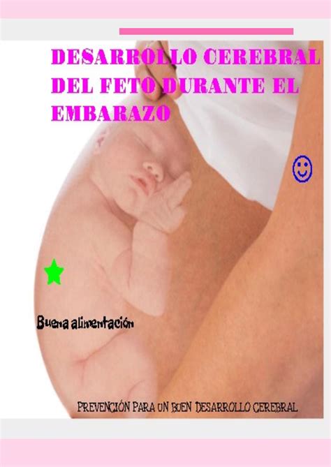 Calaméo Desarrollo Cerebral Del Feto Durante El Embarazo