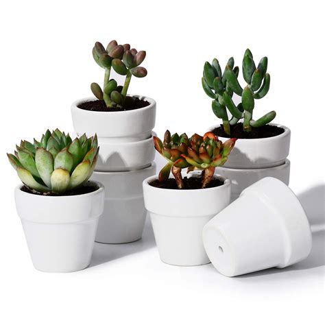 POTEY Mini Ceramic Plant Pots 2 2 Inch Tiny Planters For Succulents