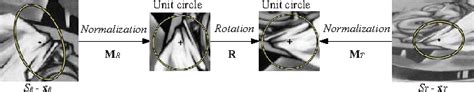 figure 1 from global propagation of affine invariant features for robust matching semantic scholar