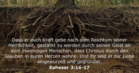 Epheser Bibelvers Dailyverses Net