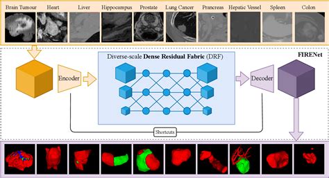 figure 1 from universal medical image segmentation using 3d fabric image representation encoding