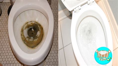 Trucos Para Limpiar El Fondo Negro Del Inodoro De Forma Efectiva