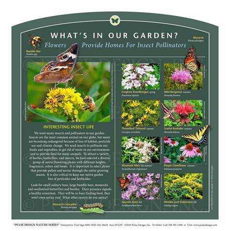 Outdoor Interpretive Signs Pollinator Garden Insects Monarch Butterfly