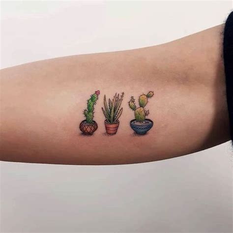 Simbolismo Das Tatuagens De Cacto Significados Profundos E