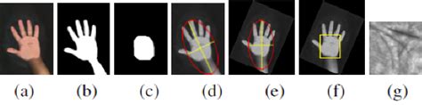 figure 3 from a secure and efficient biometric template protection scheme for palmprint