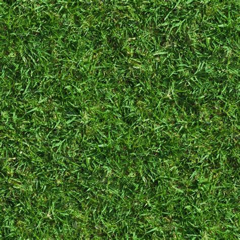 lush seamless grass texture ~ textures ~ creative market