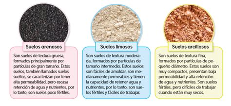 Tomi Digital Tipos De Suelos Y Sus Caracter Sticas