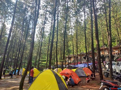 Guci Forest Tegal Informasi Dan Ulasan Lengkap 2024