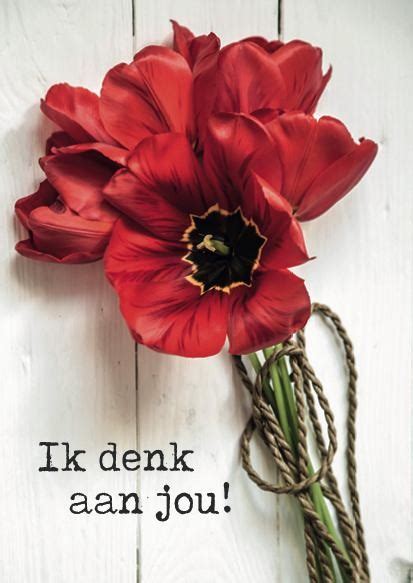Set Bijbelverhaalkaarten Majestically