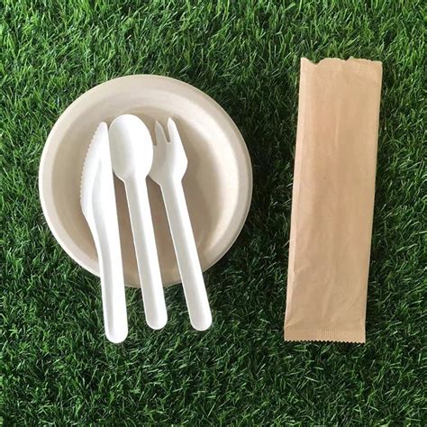 Restaurant BBQ Sugarcane Fiber Bagasse Pulp Compostable Eco Friendly