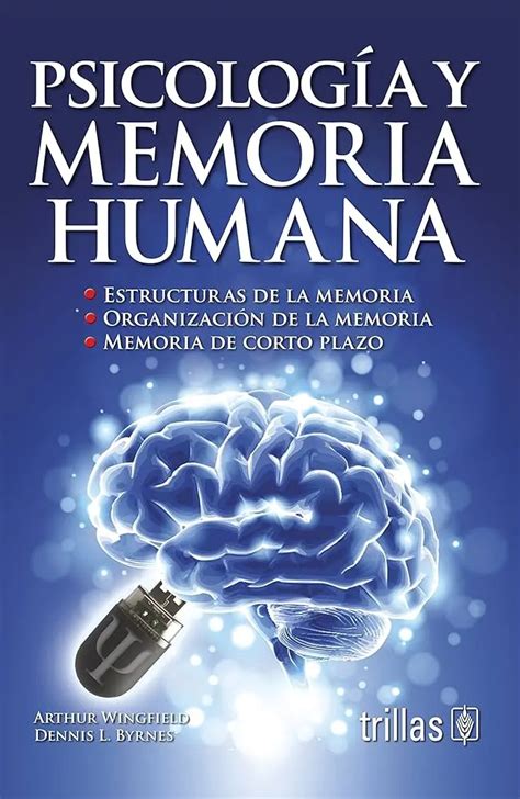 Tipos De Memoria Humana Sensorial A Corto Plazo A Largo Plazo Y