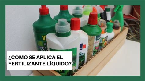 Descubre cómo aprovechar al máximo el compost líquido para nutrir tus