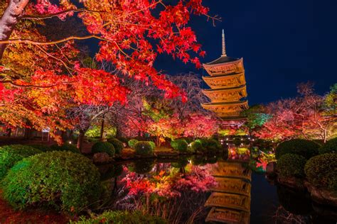 京都の紅葉名所ランキング27選2020年はいつがベストな見頃綺麗に 色づく紅葉の名所スポットから 穴場までを紅葉の見頃の時期と合わせてご