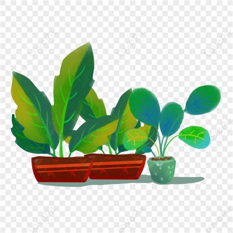 Plant Pot Plant Potted Vegetation PNG Transparent Image And Clipart