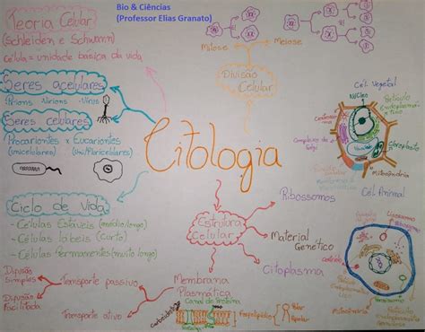 Mapa Mental Citologia