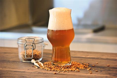 Cómo hacer cerveza artesanal WorkArtesanal Aprende aquí