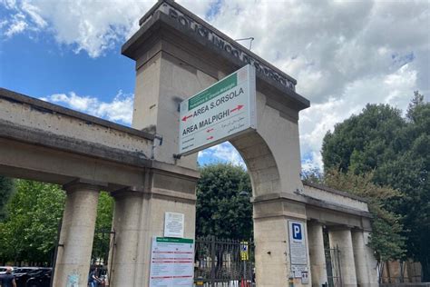 Sanità riconoscimento Irccs al Sant Orsola di Bologna Notizie Ansa it