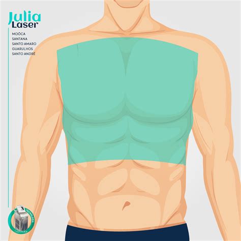 1 SESSÃO AVULSA DEPILAÇÃO PEITORAL Julia Laser