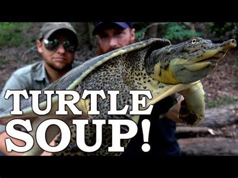 Catch And Cook Clean SOFTSHELL TURTLE Ep07 100 WILD Food SURVIVAL