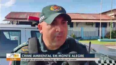 Jornal Tapajós 1ª Edição Crime ambiental polícia investiga grupo que