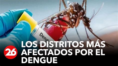 El mapa del dengue en la Argentina cuáles son los distritos más