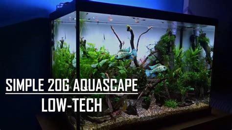 20 GALLON AQUASCAPE TUTORIAL Easy Simple Aquarium YouTube