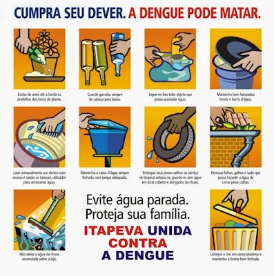 Educar X Cartazes Contra A Dengue De Novembro