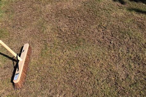 How To Level A Lawn A Bumpy Lawn By Hand With Sand Topsoil Mix TRG