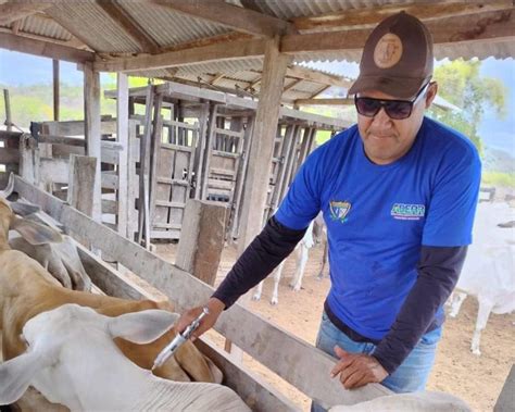 Portaria Do MAPA Reconhece Roraima Livre De Febre Aftosa GOVERNO DE