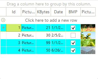 Formatting Rows WinForms GridView Control Telerik UI For WinForms