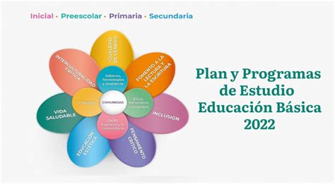 Plan De Estudios Nivel Primaria 2024 Image To U