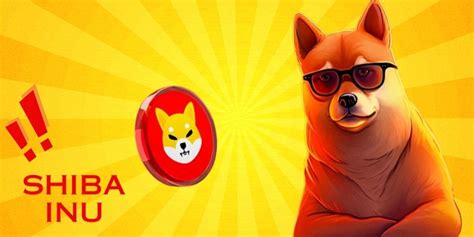 Shiba Inu Phenomenon 500 Investment Skyrockets To 3 Million