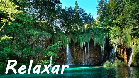 Acalmar a Mente Música Relaxante Piano e Natureza Relaxar YouTube