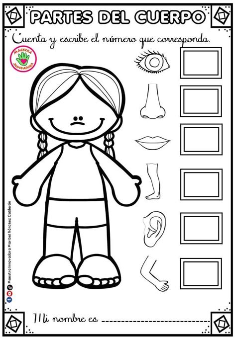 Pin De Mtra Anita En El Cuerpo Humano Partes Del Cuerpo Preescolar