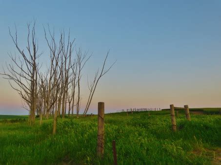 Free Images Landscape Tree Nature Path Horizon Marsh Fence
