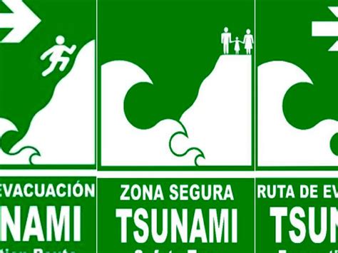 Prevenir Un Tsunami Consejos Y Medidas Eficaces